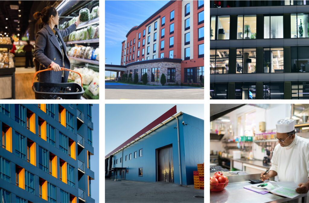 NetOne Commercial Energy Efficiency Program | Ecology Action