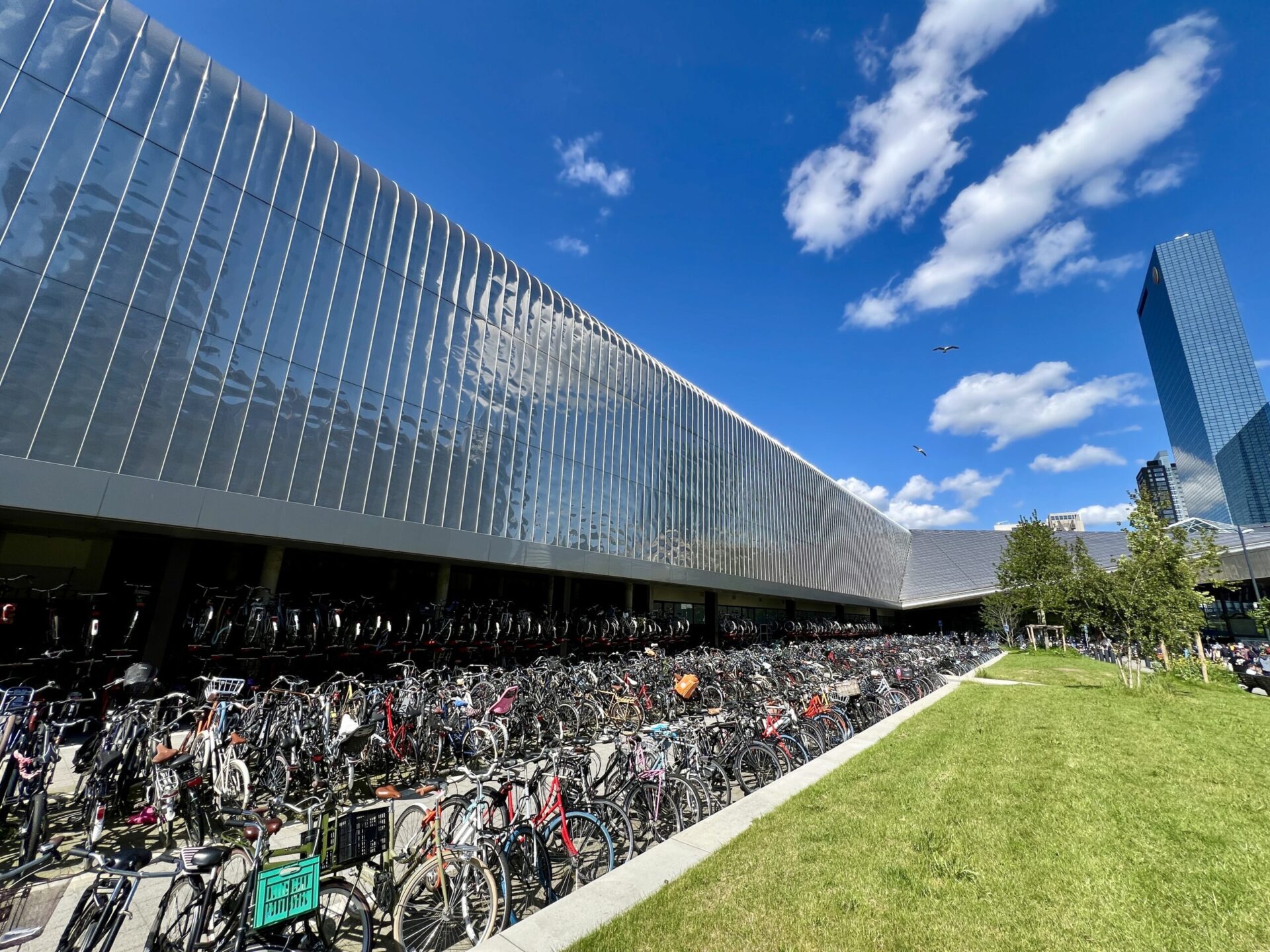 Ecology Action | World-Class Mobility: How Santa Cruz County is ...